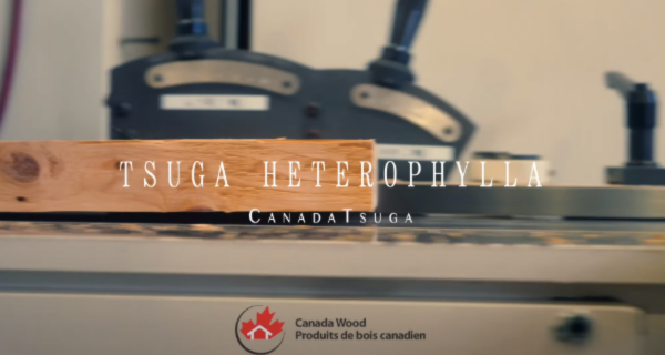 COFI Coast DIY Market Promotion – A Must See!! - Canada Wood Group